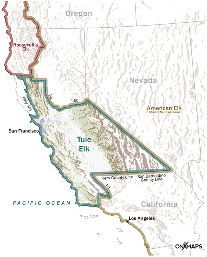 Category Boundaries for Big Game Records | Boone and Crockett Club