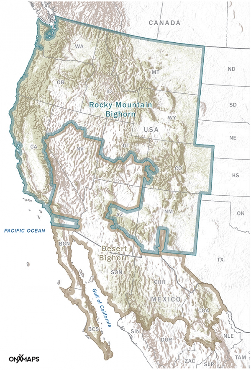 Category Boundaries for Big Game Records | Boone and Crockett Club