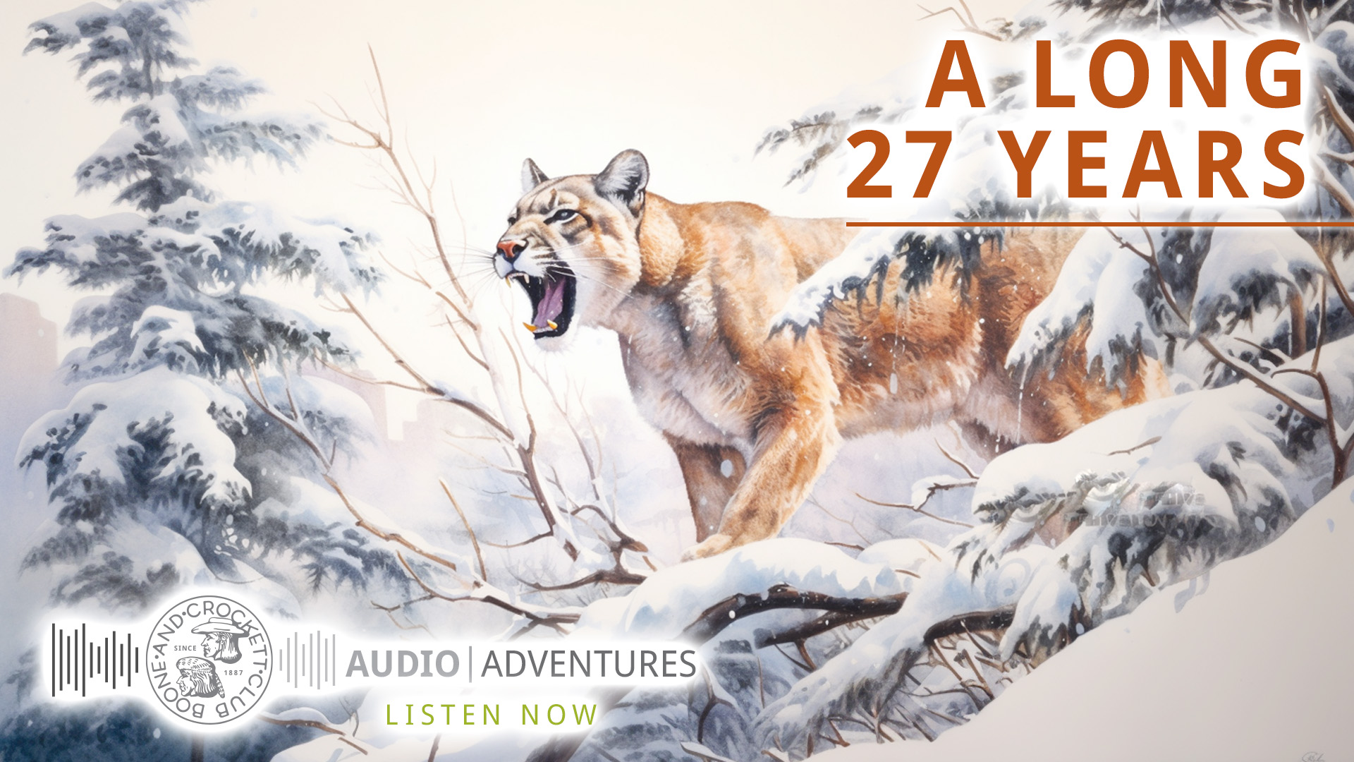 A Long 27 Years – A B&C Audio Adventure | Boone and Crockett Club