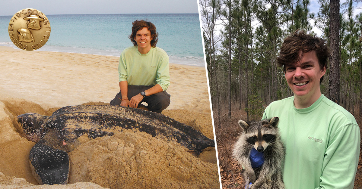 Sea Turtles, Wolves, and Whitetails, Oh My! | Boone and Crockett Club