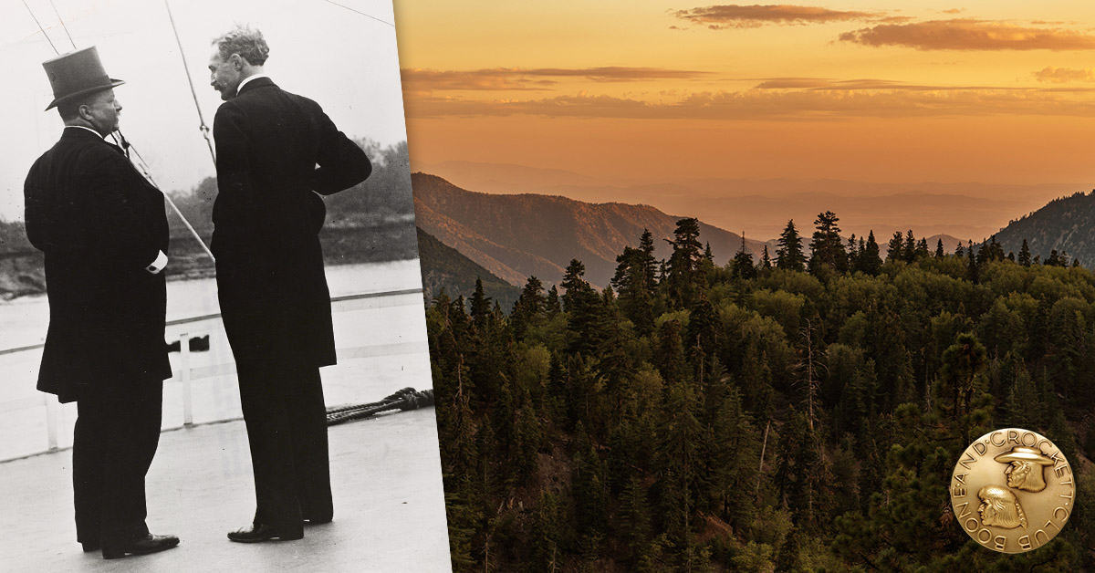 Creating a National Forest Service - B&C Impact Series | Boone and ...