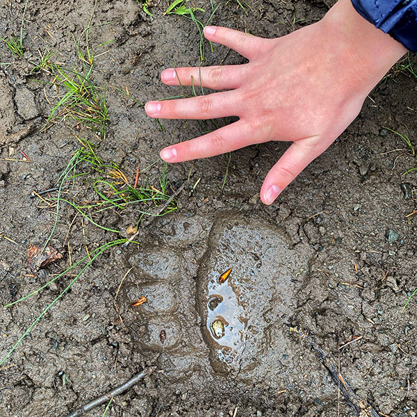 Outdoor Adventure Camp Activities | Boone and Crockett Club