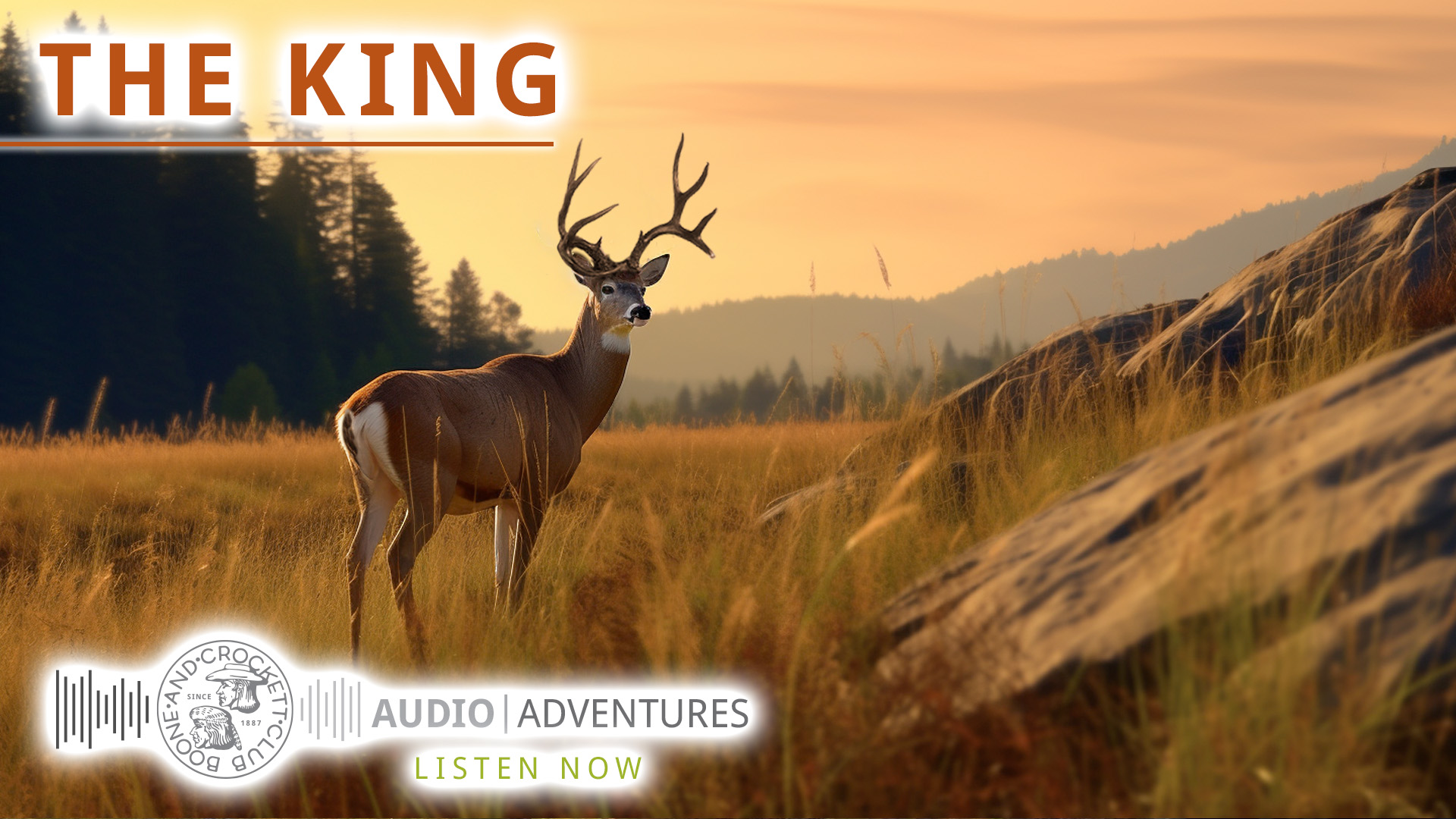 The King – A B&C Audio Adventure | Boone and Crockett Club